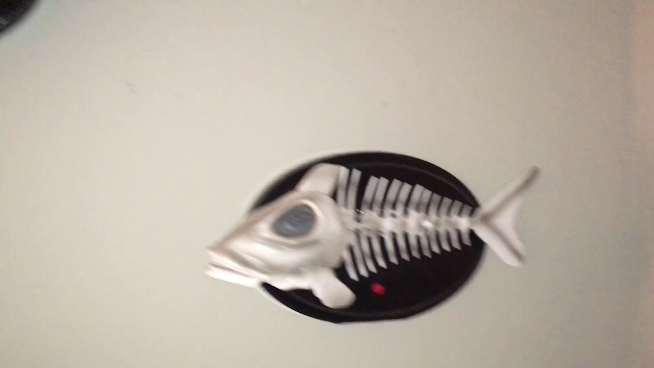 lakewi44's Mini singing fish collection update - YouTube