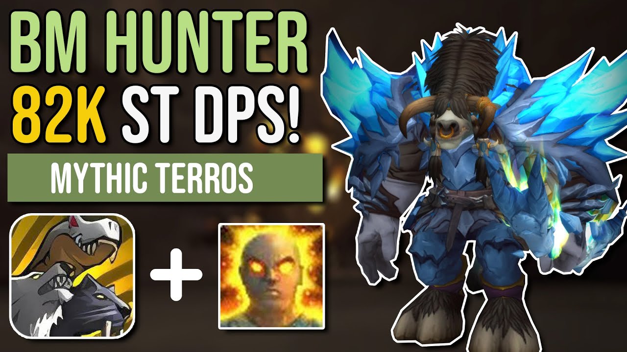 BM Hunter + PI | 82K Single Target DPS | Mythic Terros - YouTube