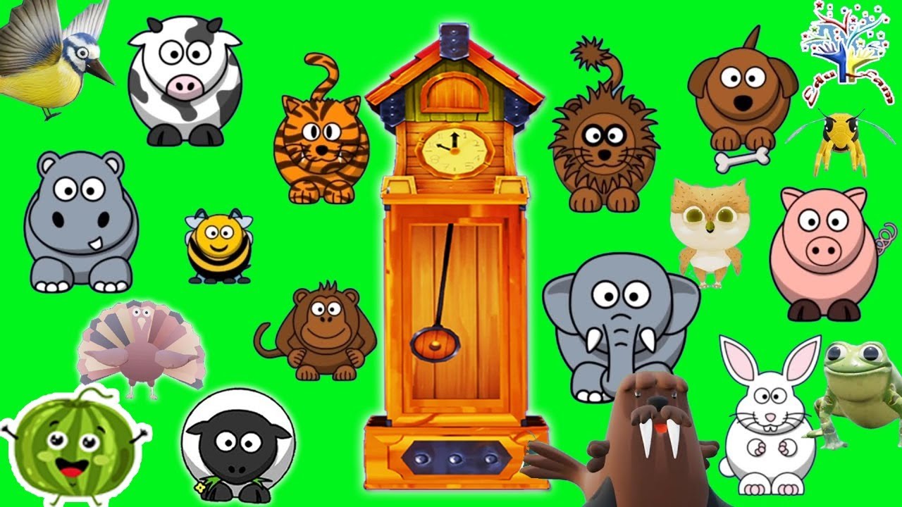 🐔⏰ Animal Sounds, Hickory Dickory Dock, Old MacDonald - 1 Hour+ LIVE ...