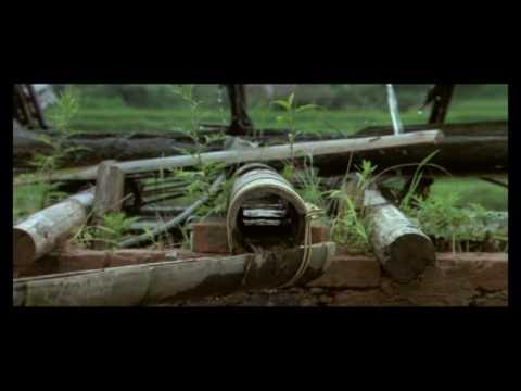 Our home the Earth - English Version - YouTube