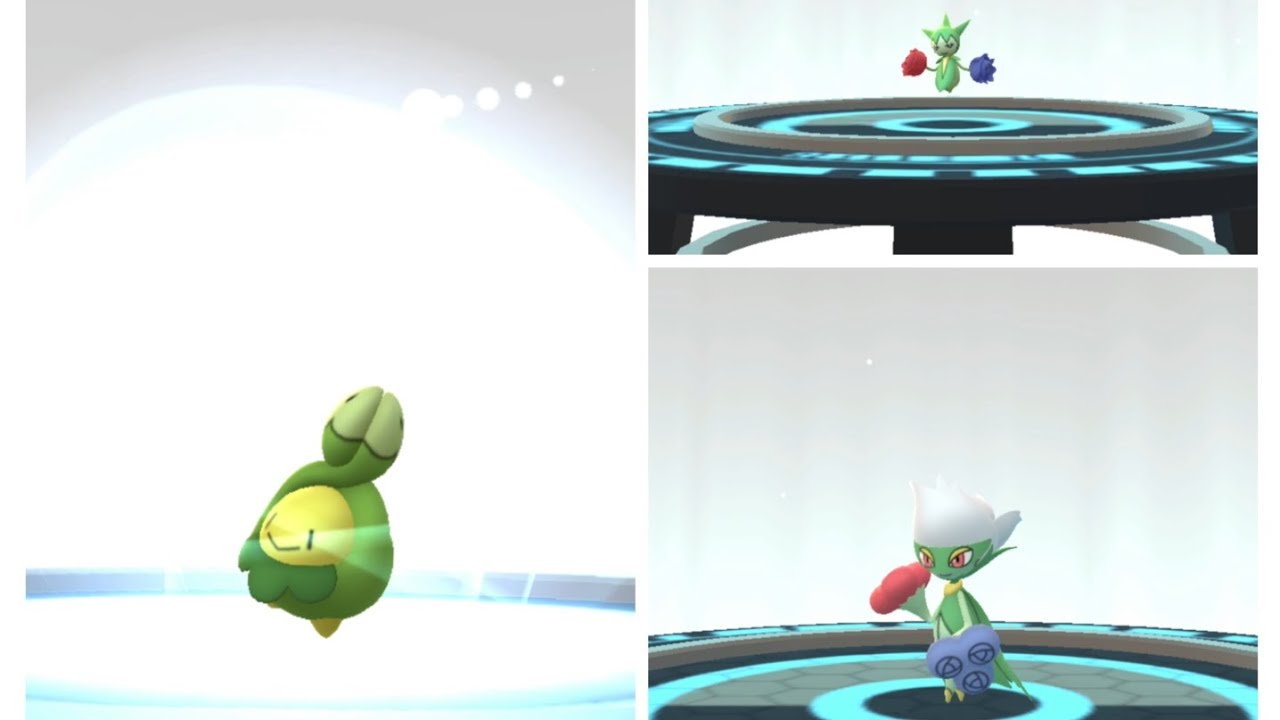 Beautiful Full Evolution 🧬 BUDEW 🧬 ROSELIA 🧬 ROSERASDE 🧬 Pokemon Go ...