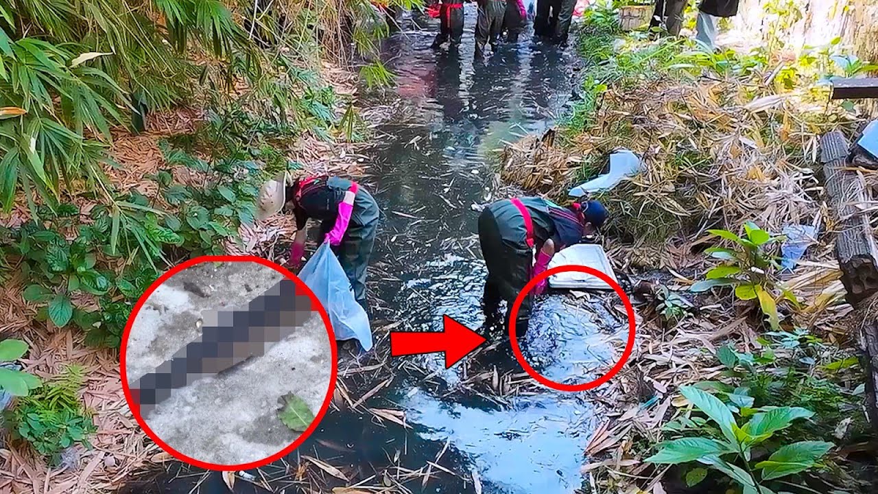 Can You Believe This Was Once the City's Cleanest Stream?, Cleaning For ...