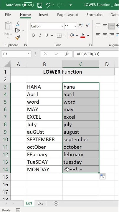 Convert Capital letters into Small letters in Excel - YouTube