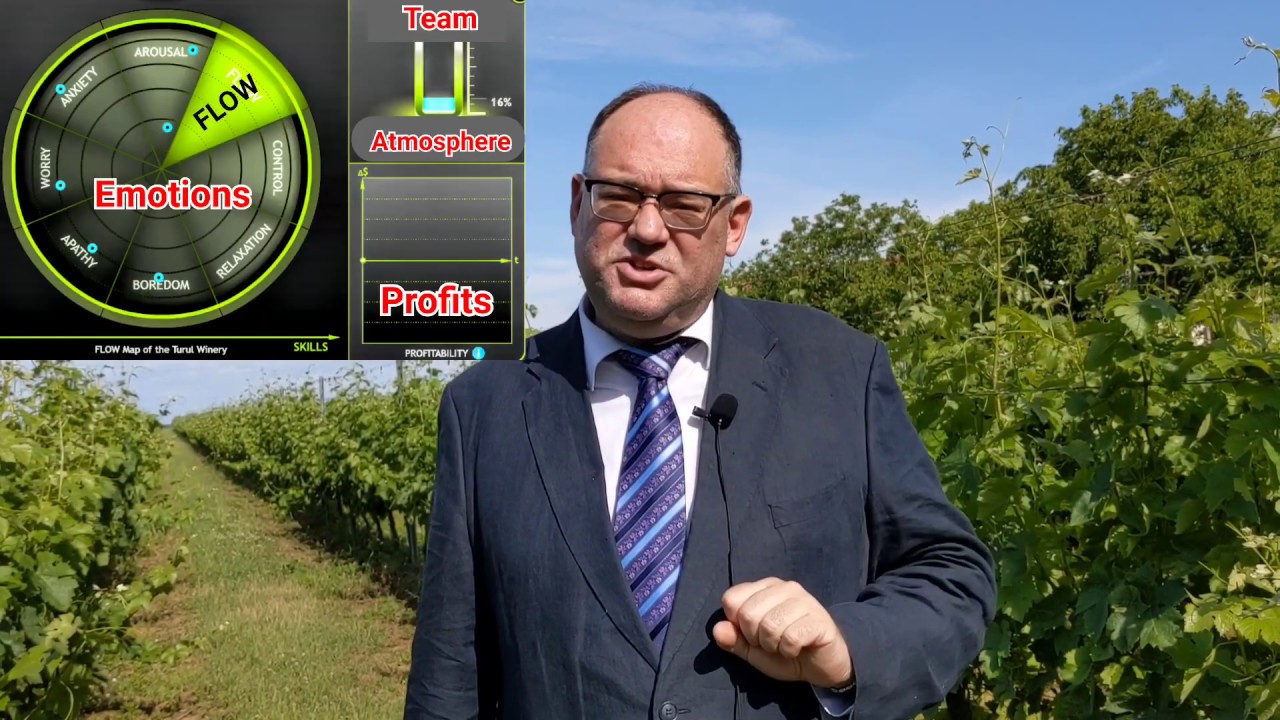 Welcome to FLIGBY's 'Turul Winery Leadership Development Story' (Turn ...