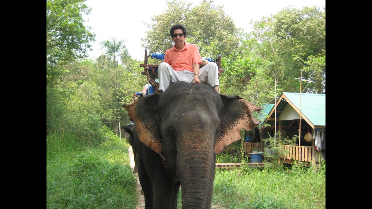 Thailand Elephant Ride Adventure - YouTube