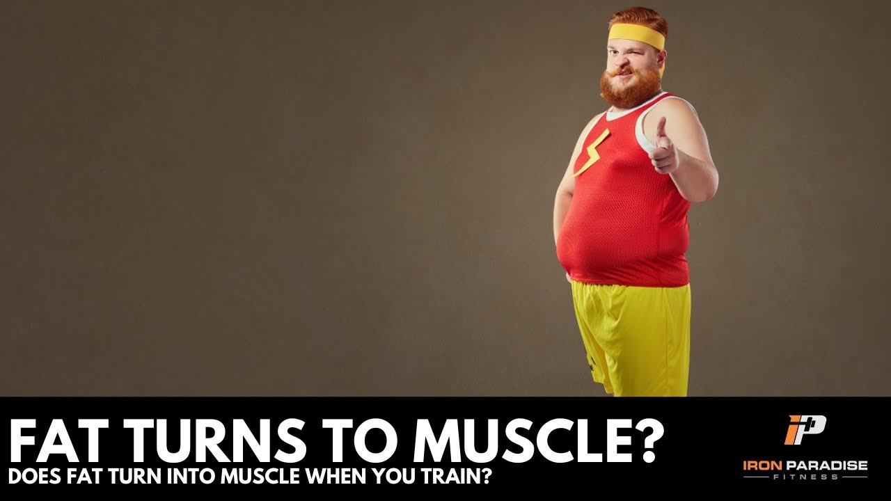 Does Fat Turn Into Muscle? - YouTube
