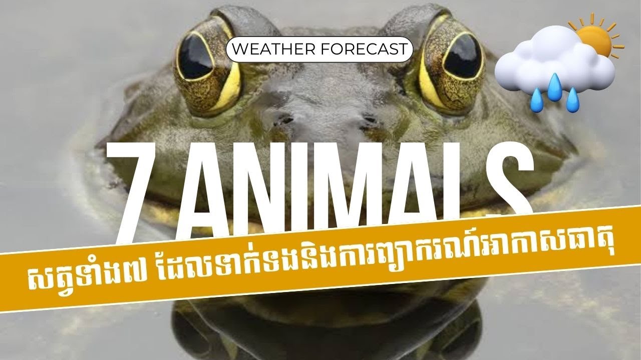 EP1 - សត្វទាំង៧ ដែលទាក់ទងនិងការព្យាករណ៍អាកាសធាតុ | 7 ANIMALS with ...