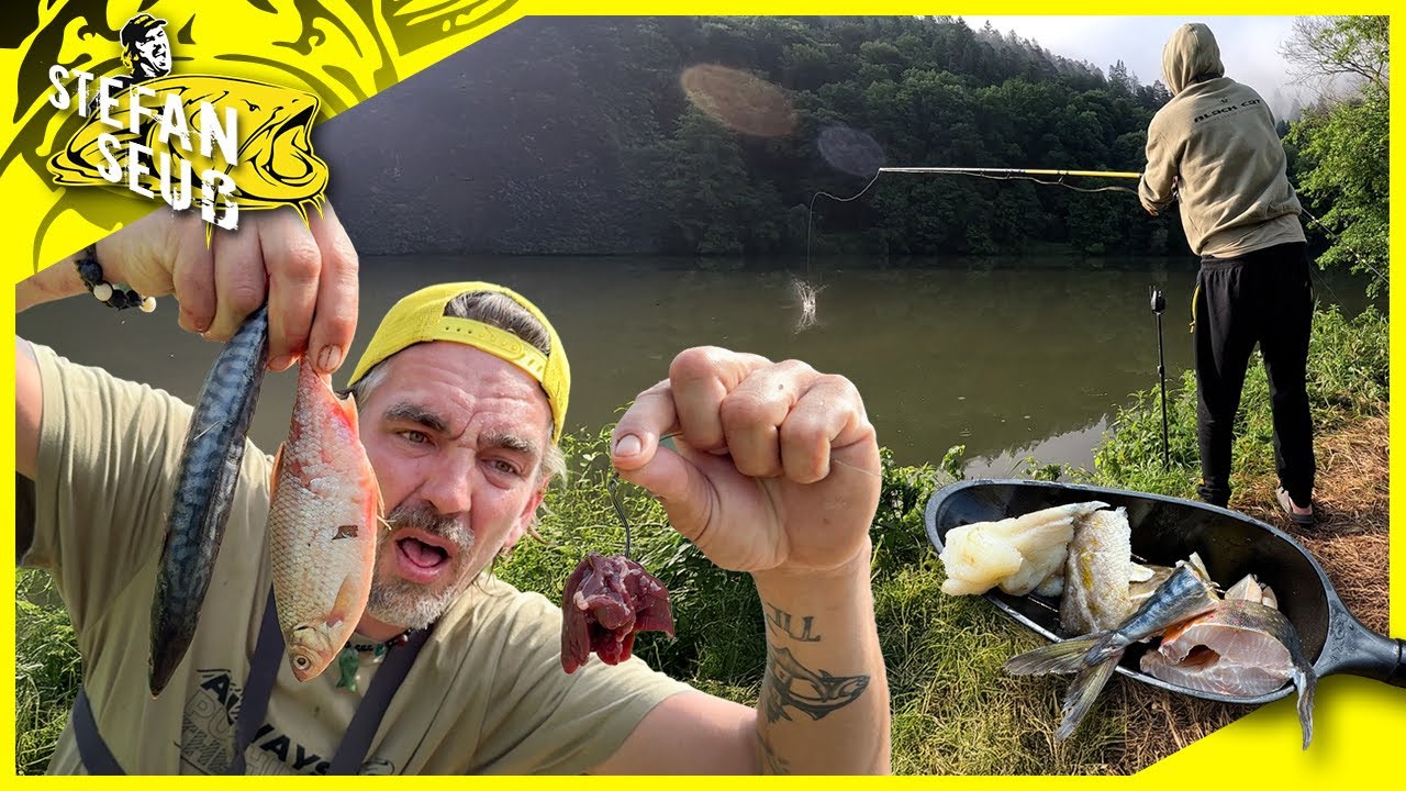 STINKT und FÄNGT vom Klappstuhl | Angeln mit Leber und Fischfetzen ...