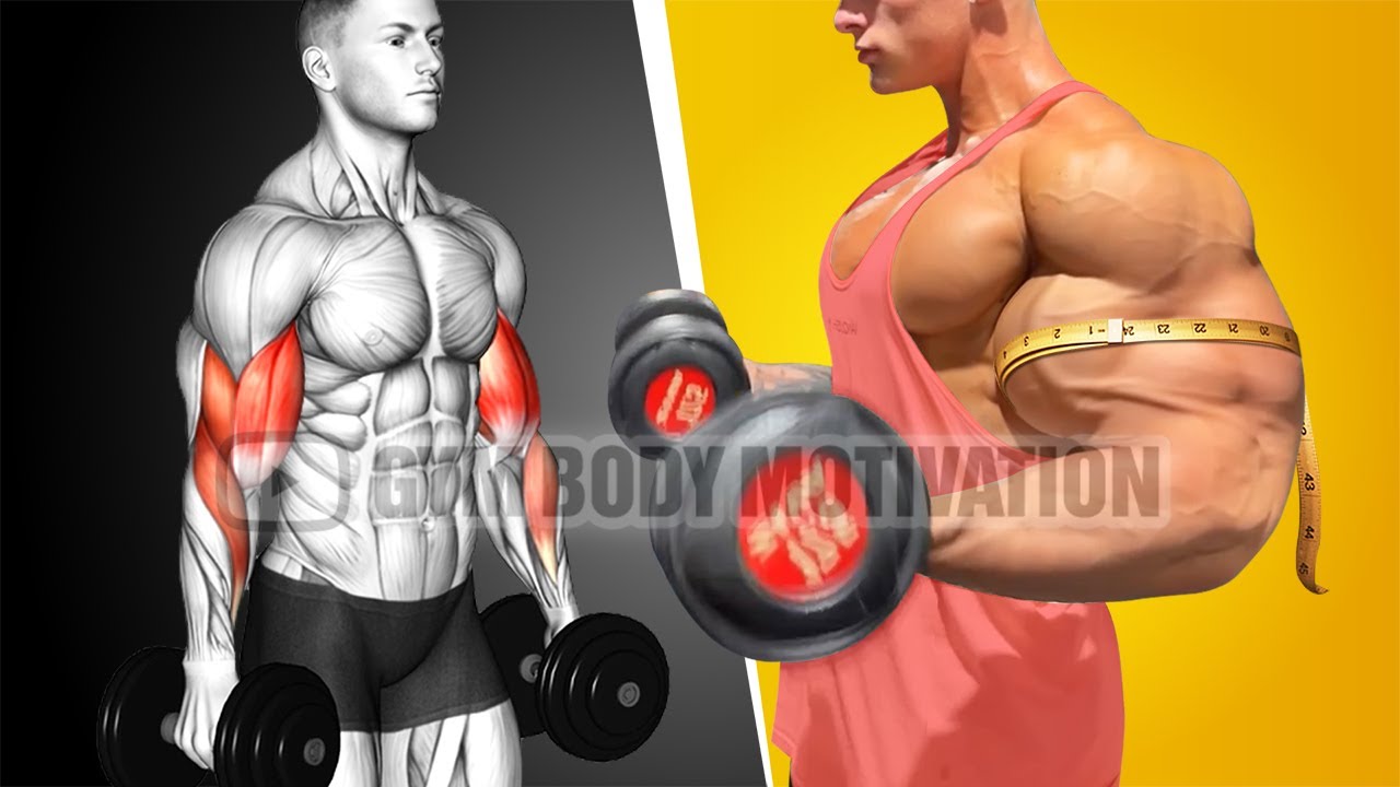 8 Best Exercises for Bigger Arms - Biceps and Triceps Workout - YouTube