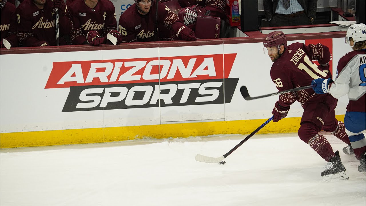 Arizona Coyotes owner Alex Meruelo has sought out potential buyers ...