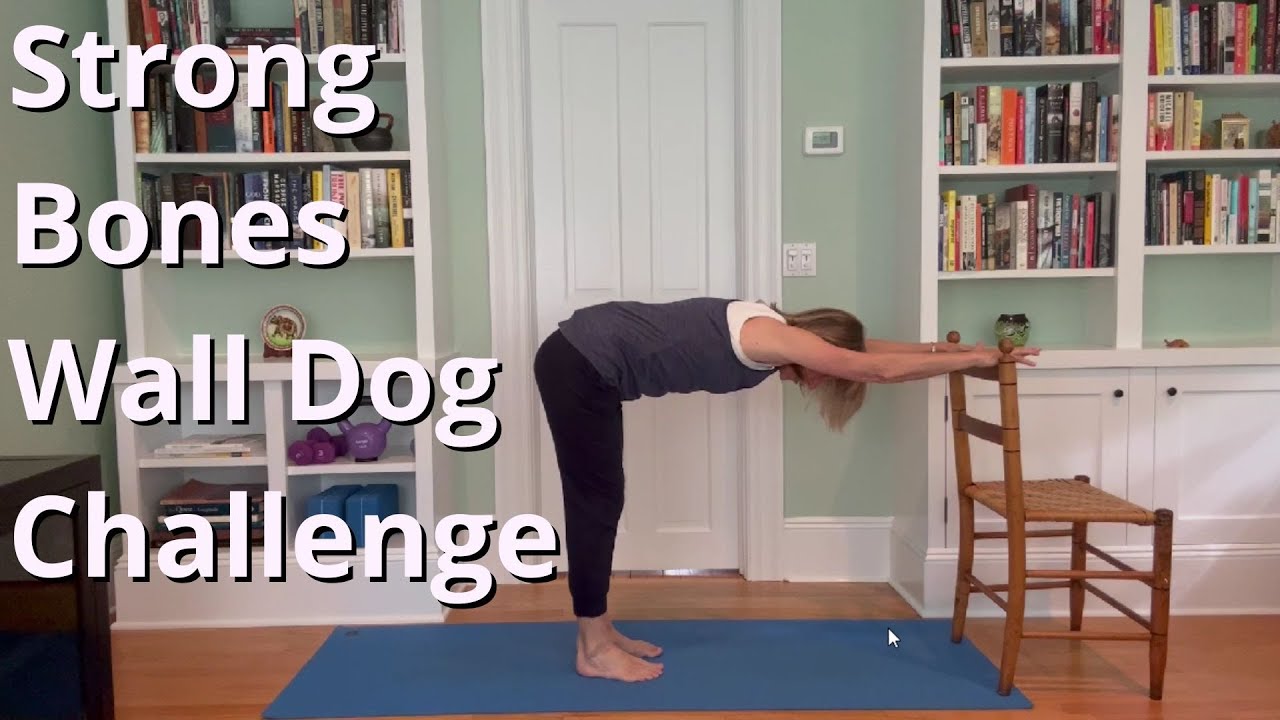 Wall Dog - Strong Bones Challenge - YouTube