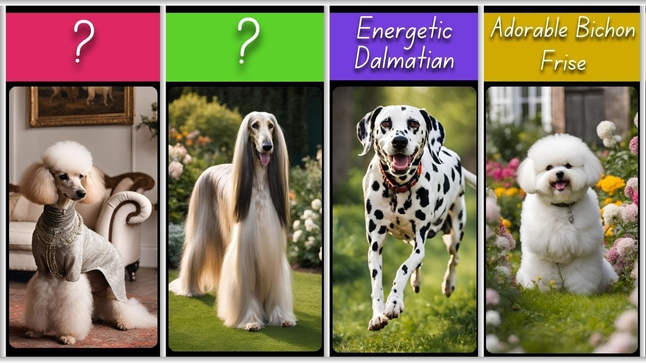 Top 50 Dog Breeds with Pictures | List of 50 popular Dog Breads Names ...