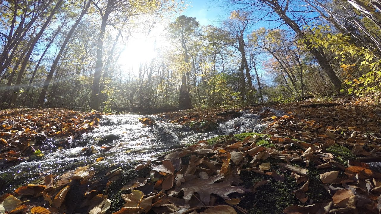 Crabtree Falls Autumn, Virginia - YouTube