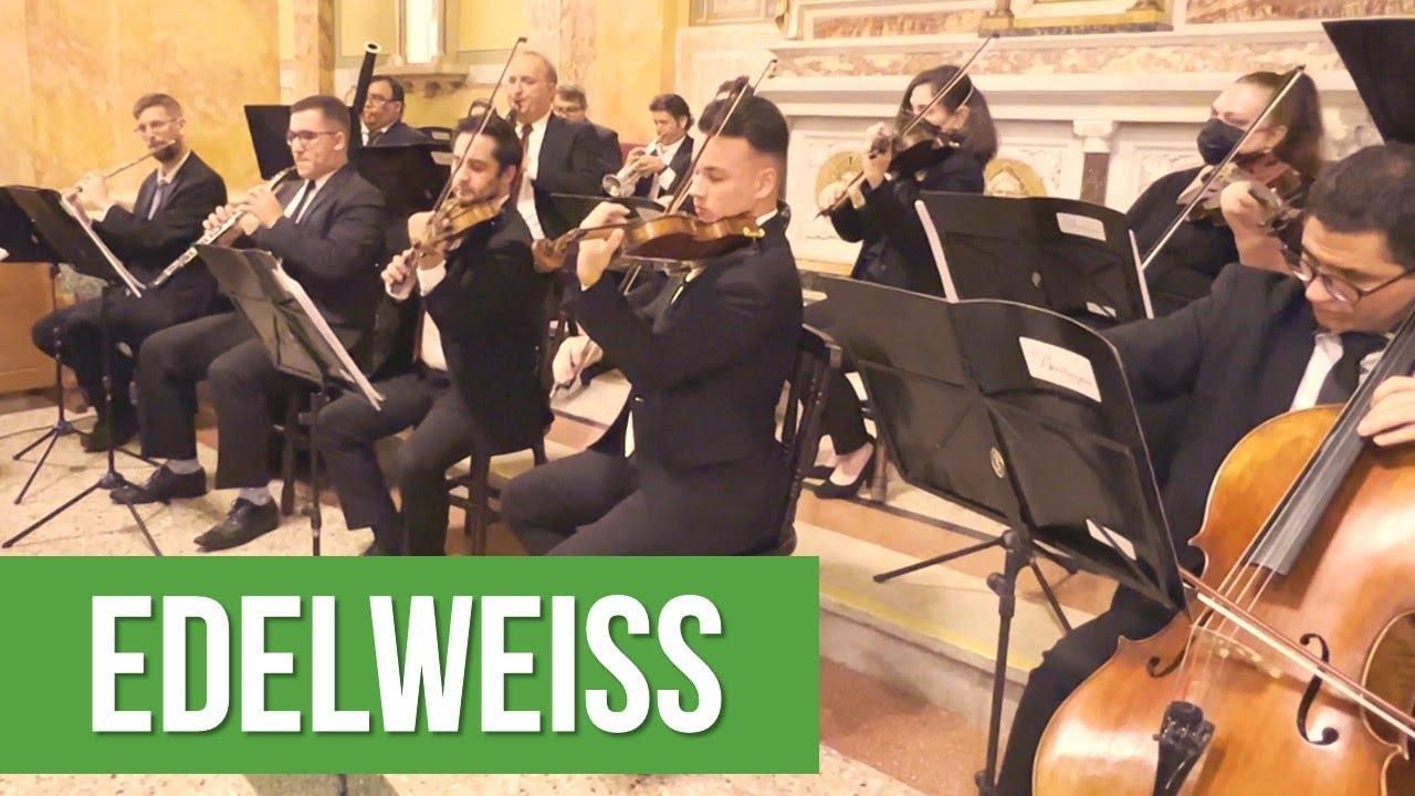Edelweiss (The Sound of Music) - YouTube