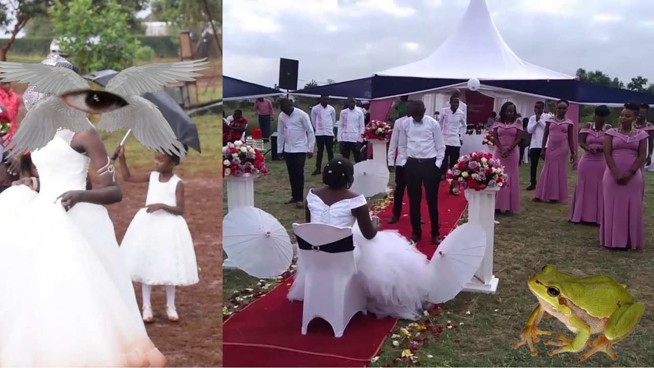 Nu1 bibaye mu Rwanda 😭igikeri kivuga kishe ubukwe|umugeni ahise ...