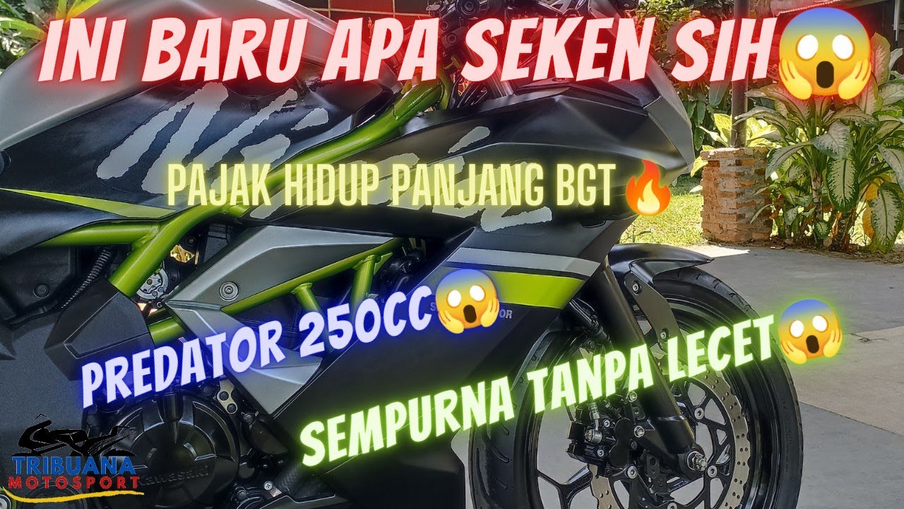 SEPERTI BARU COY! PREDATOR DIKELAS 250CC! - YouTube
