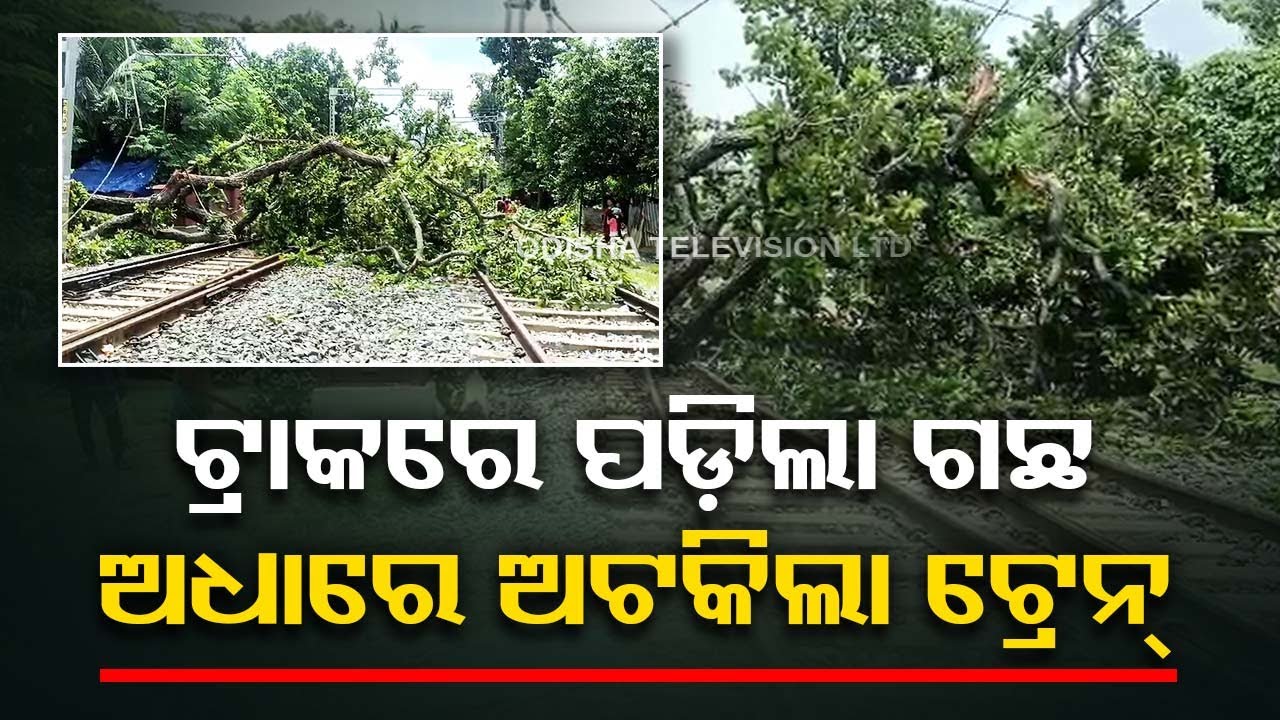 Train services affected after huge tree falls on railway tracks in ...