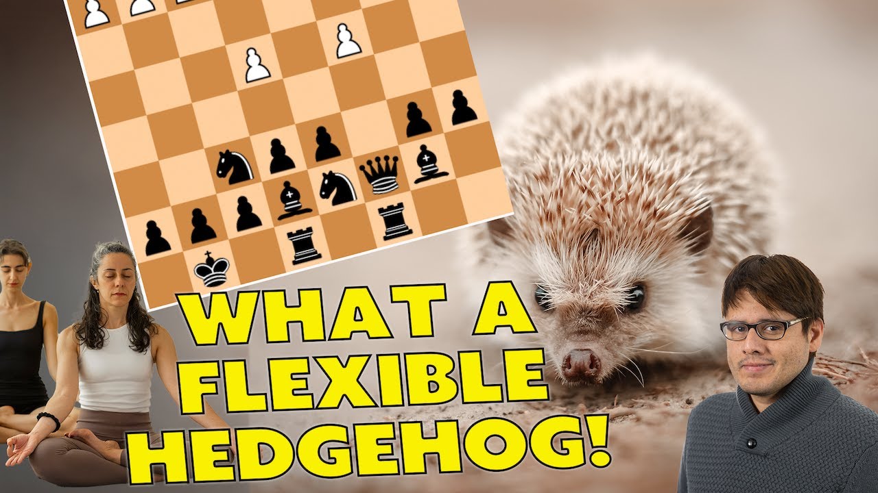 Play the Flexible Hedgehog System | Prepare Like A Pro - GM Emilio ...