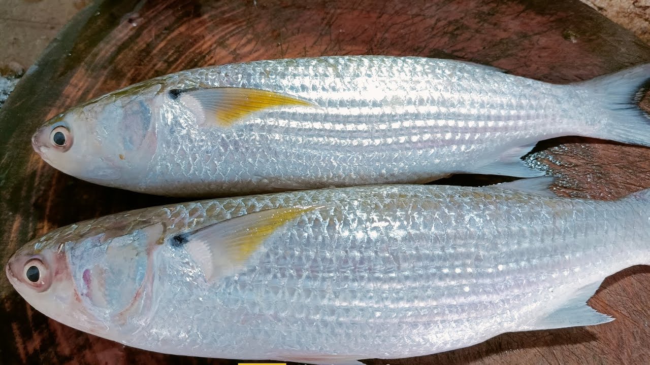 Mullet fish cutting skills Kerala style.#like #like #share #comment # ...