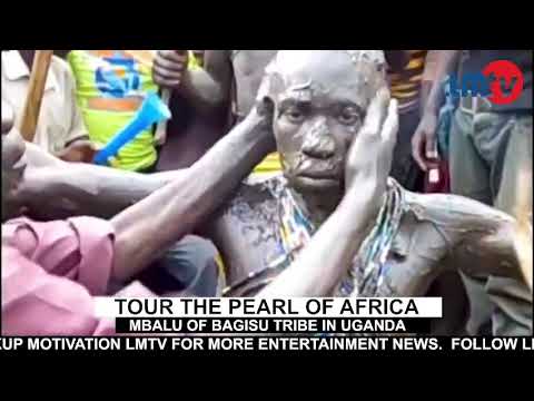 HOW MBALU CIRCUMCISION IS DONE AND WHY? IN BAGISU TRIBE OF UGANDA # ...