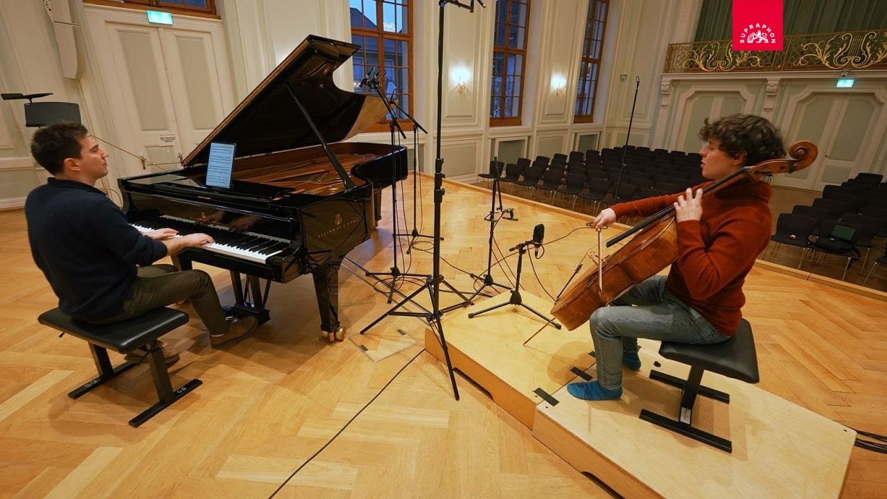 Vilém Vlček, Denis Linnik - Bohuslav Martinů: Variations on a Slovak ...