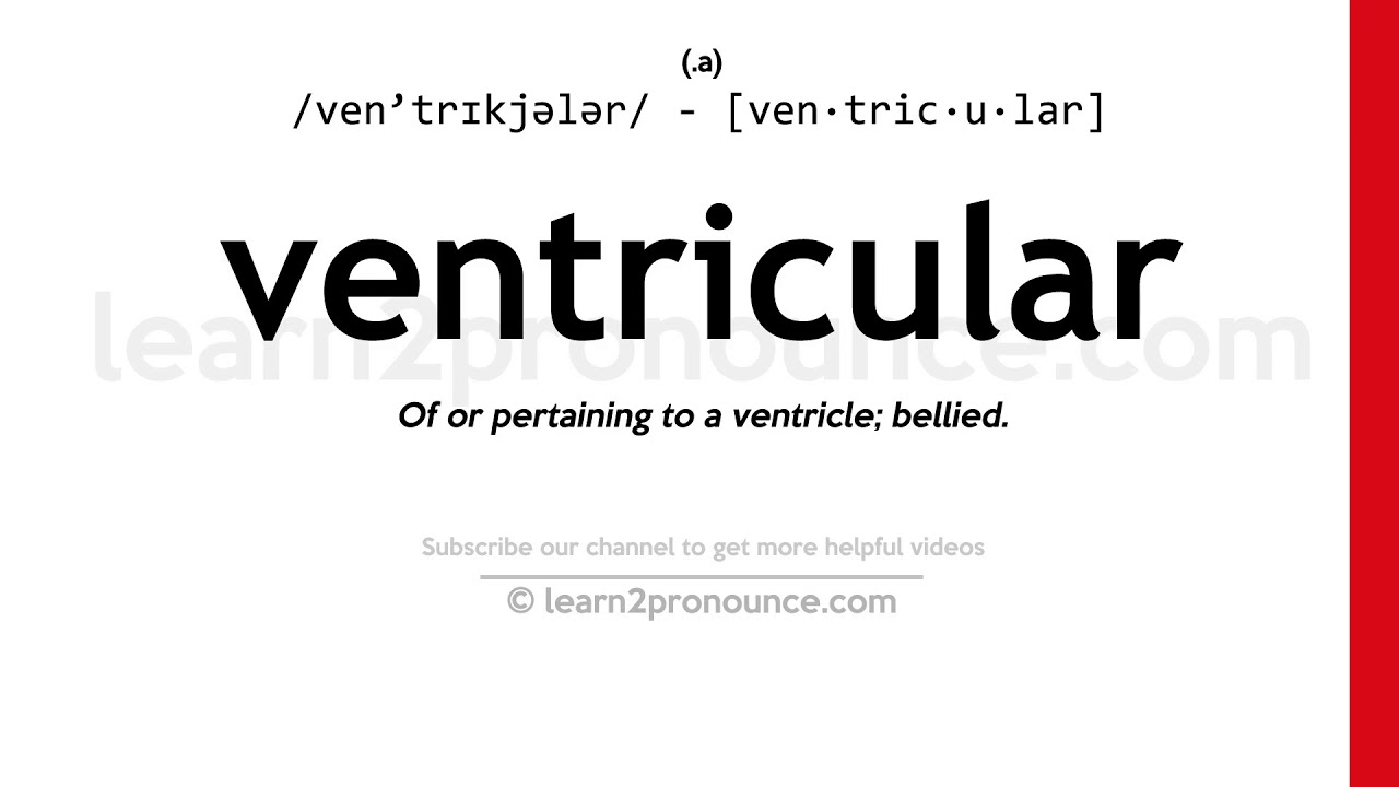 Pronunciation of Ventricular | Definition of Ventricular - YouTube