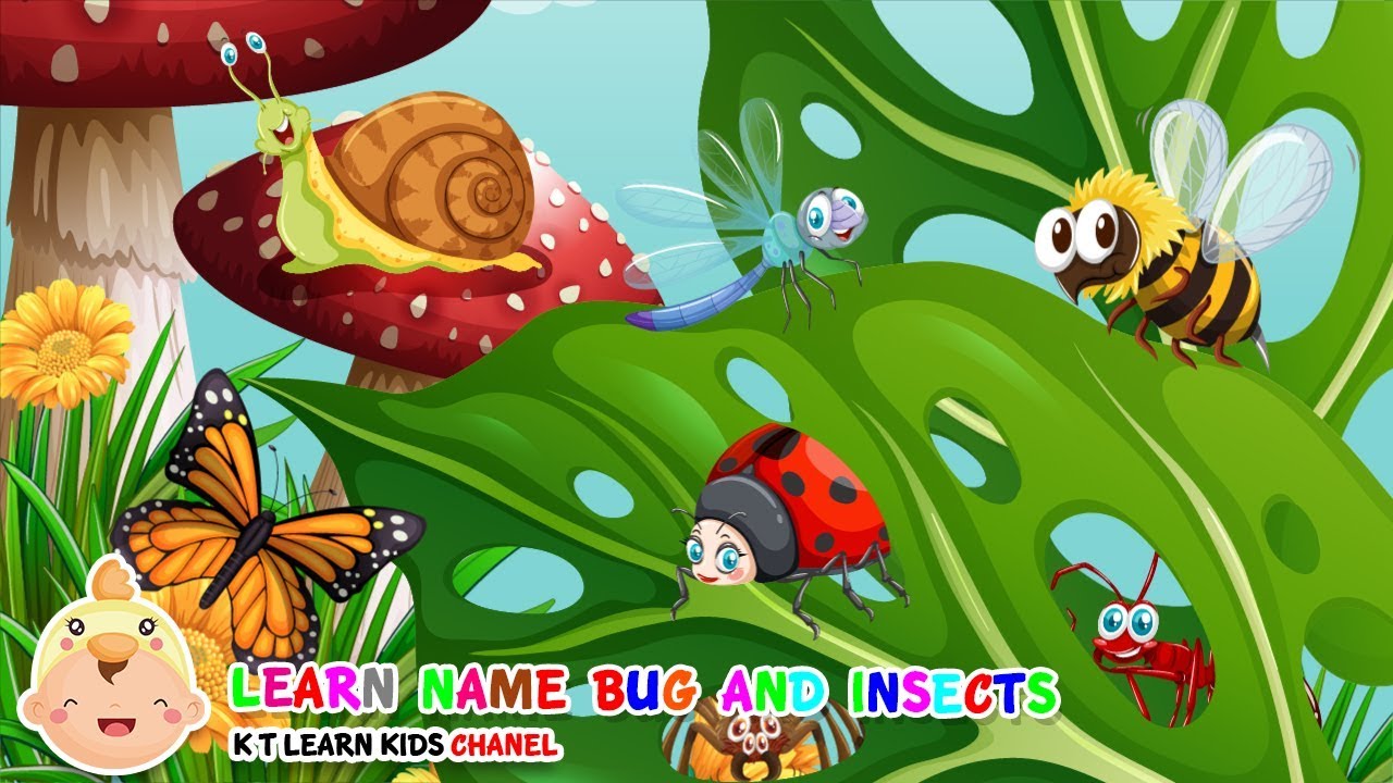 Insects and Bugs for Kids | Learning Insects Name Video For Toddlers ...