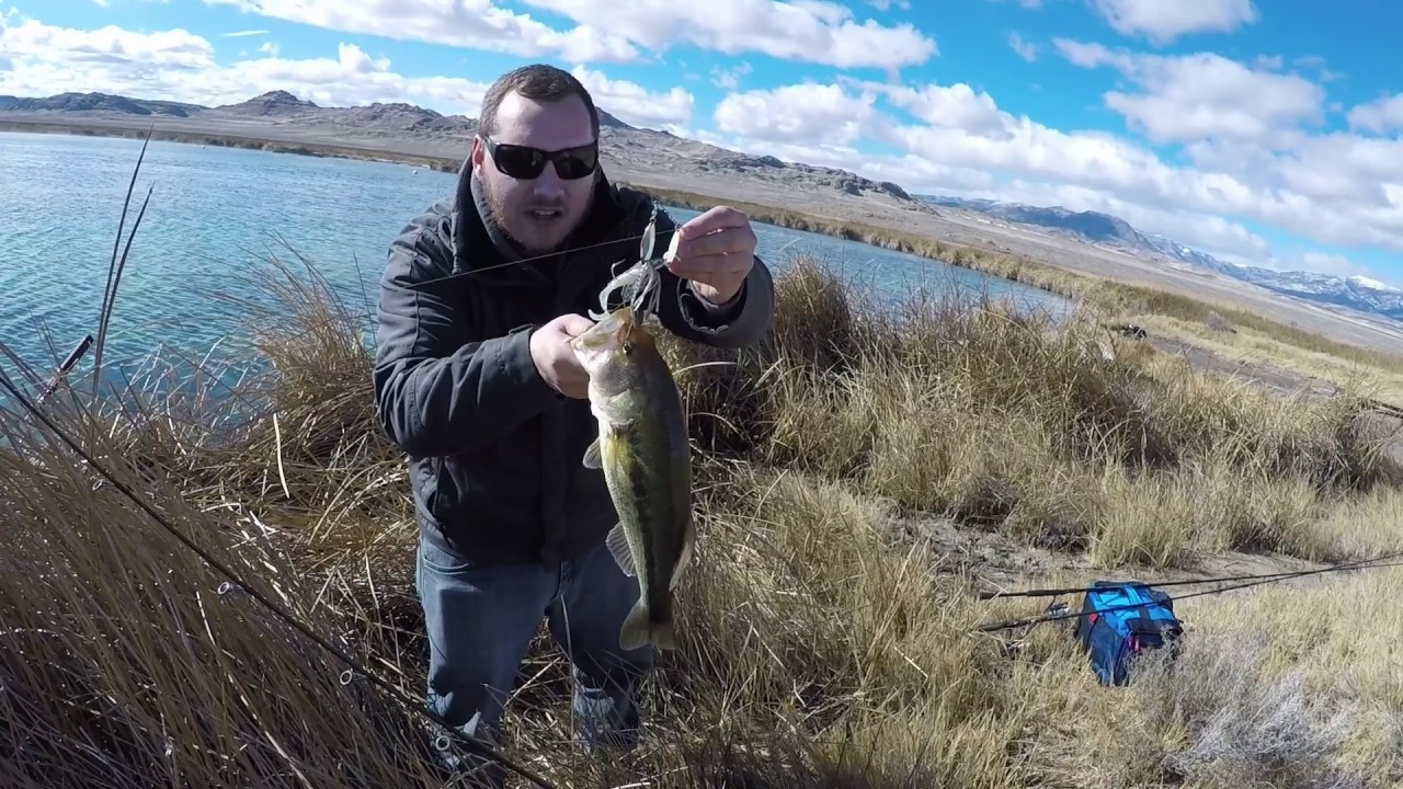 Blue Lake Fishing - Largemouth Bass - YouTube