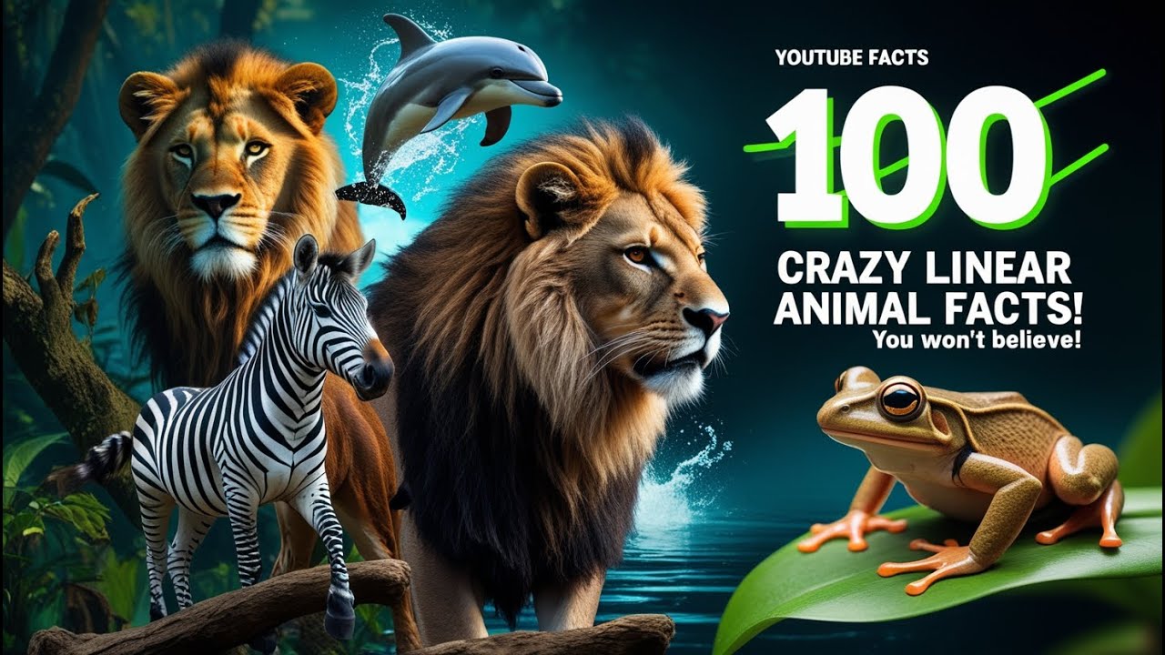 100 Amazing One-Linear Animals Facts #8 - YouTube