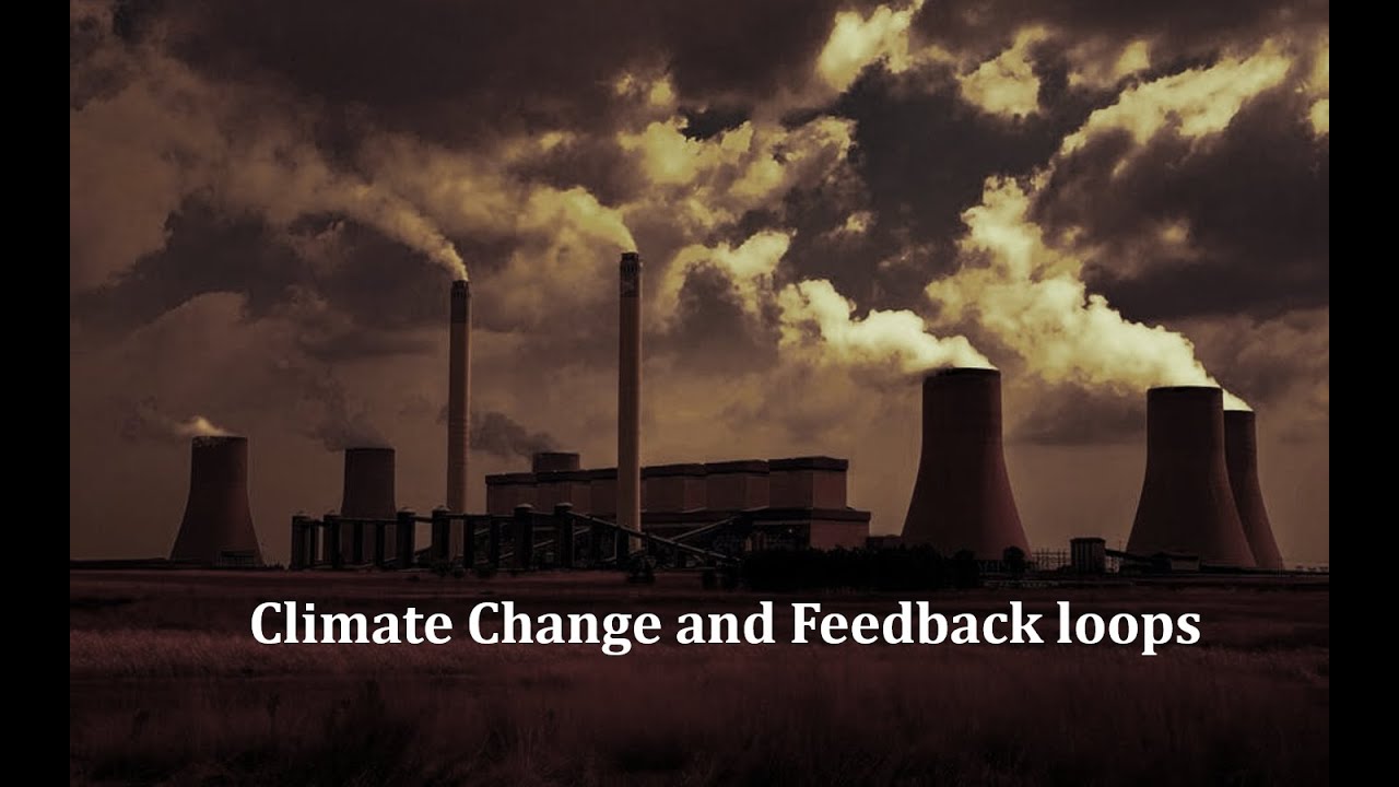Climate change and Feedback loops - YouTube