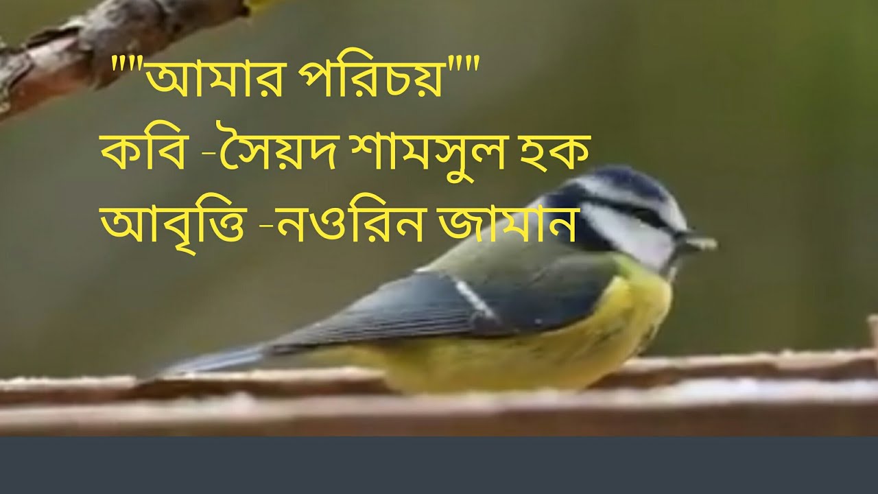 "AMAR PORICHOY " recited by Nourin Jaman - YouTube