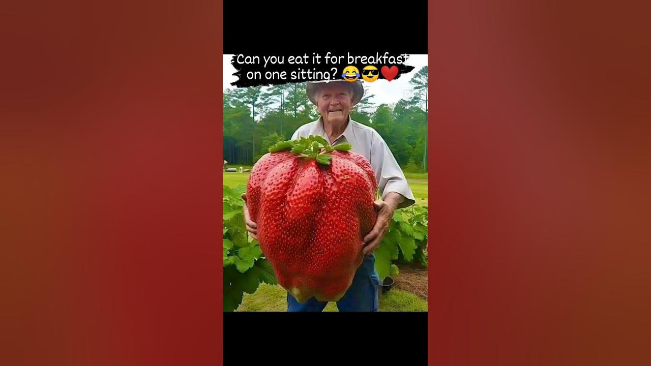 Can You Eat It For Breakfast In One Sitting Exp613 ExpRealty YouTube can-you-eat-it-for-breakfast-in-one-sitting-exp613-exprealty-youtube