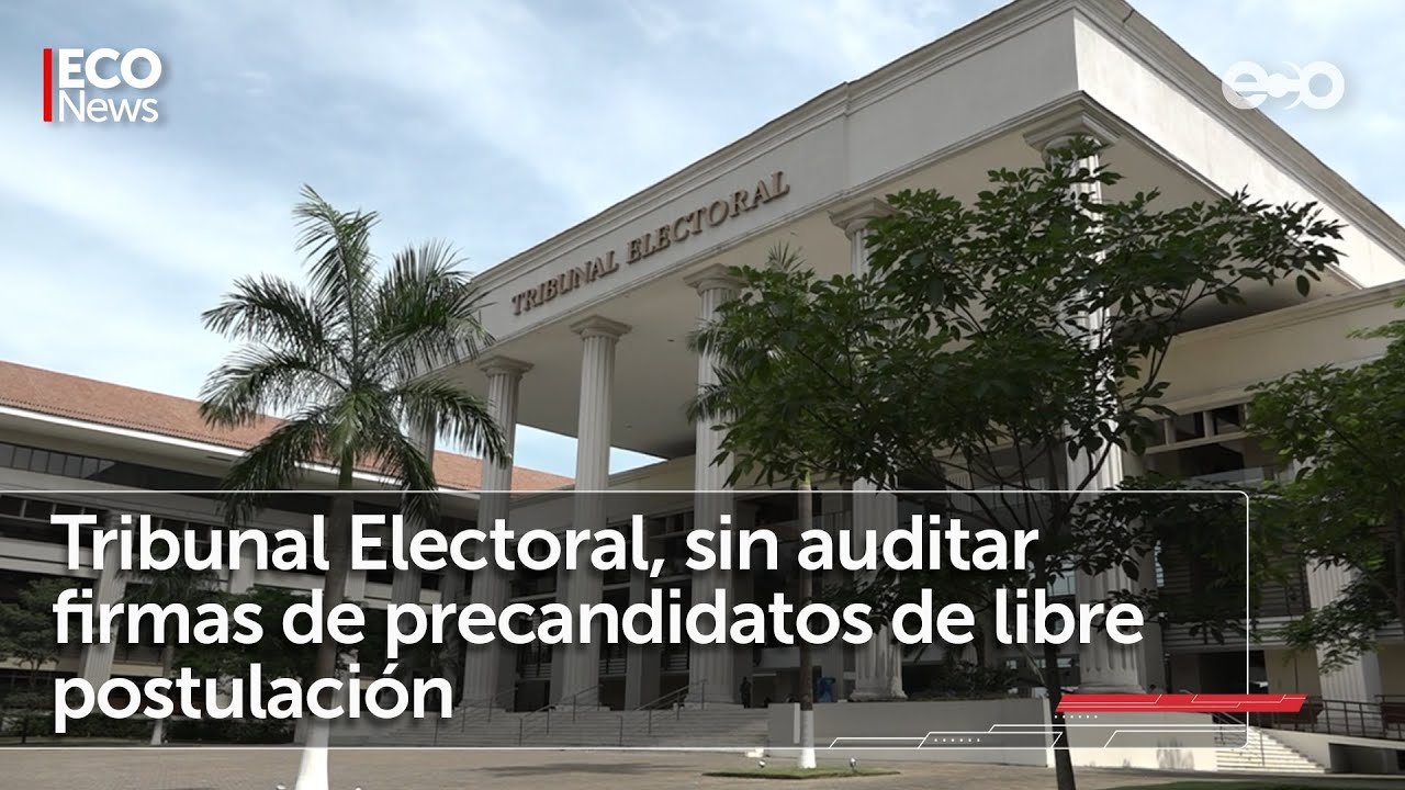 Tribunal Electoral, sin auditar firmas de precandidatos | #EcoNews ...