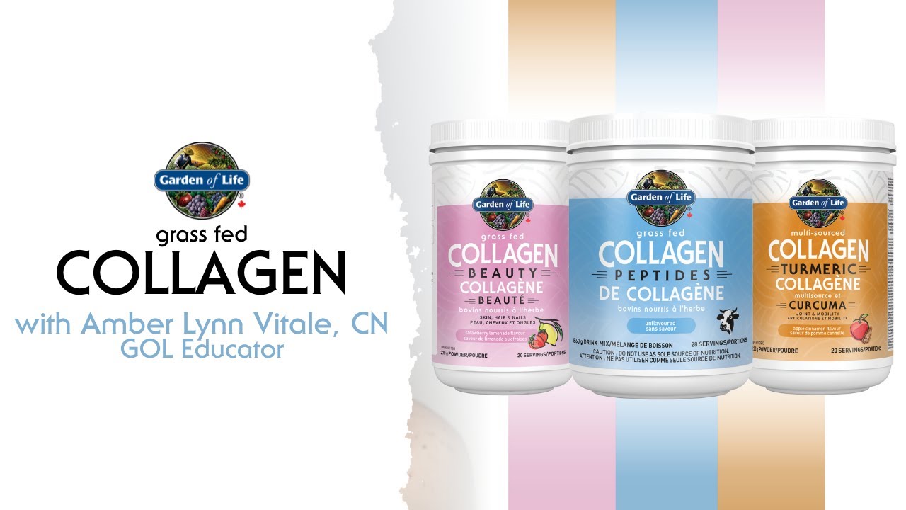 A Guide to Collagen with Amber Lynn Vitale - YouTube