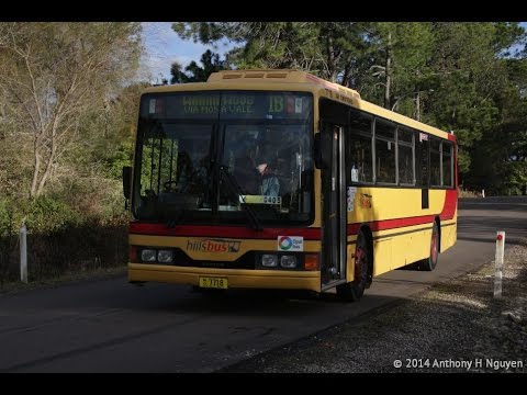 CDC Hillsbus [Dural] Mercedes-Benz O405 Mk II / Custom Coaches 510, m/o ...