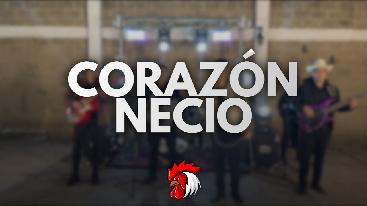 Pokar De Ases - Corazón Necio (En Vivo 2026) - YouTube