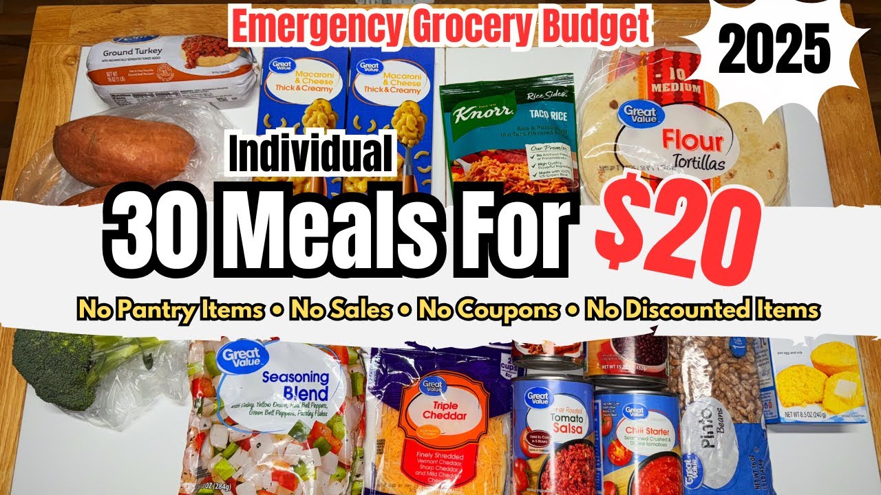 $20 Emergency Grocery Budget = 30 Individual Meals For My Family || NO ...