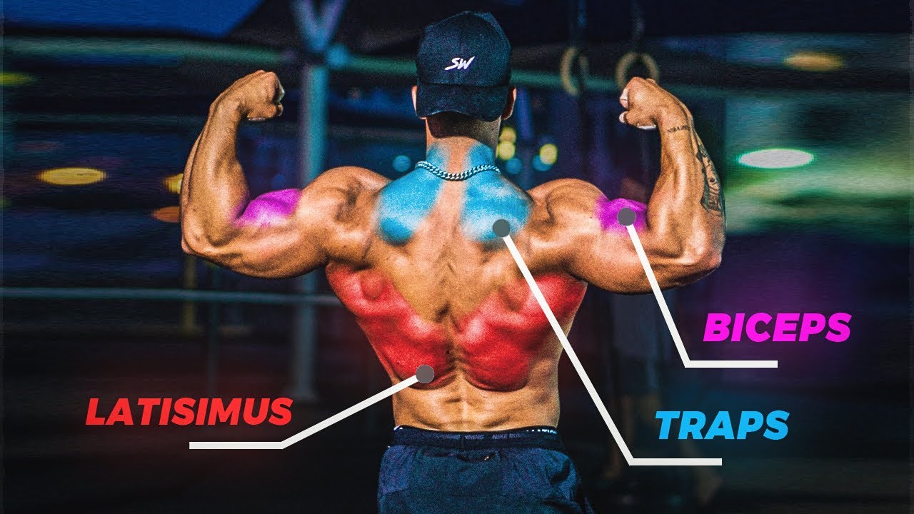 FULL Back Workout for MUSCLE Building! - YouTube