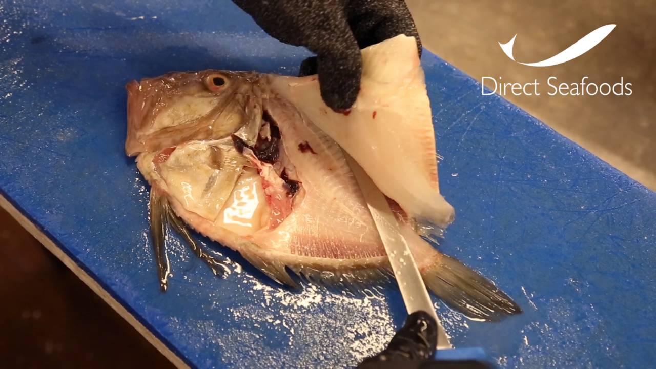 Direct Seafoods: How to Fillet a John Dory - YouTube