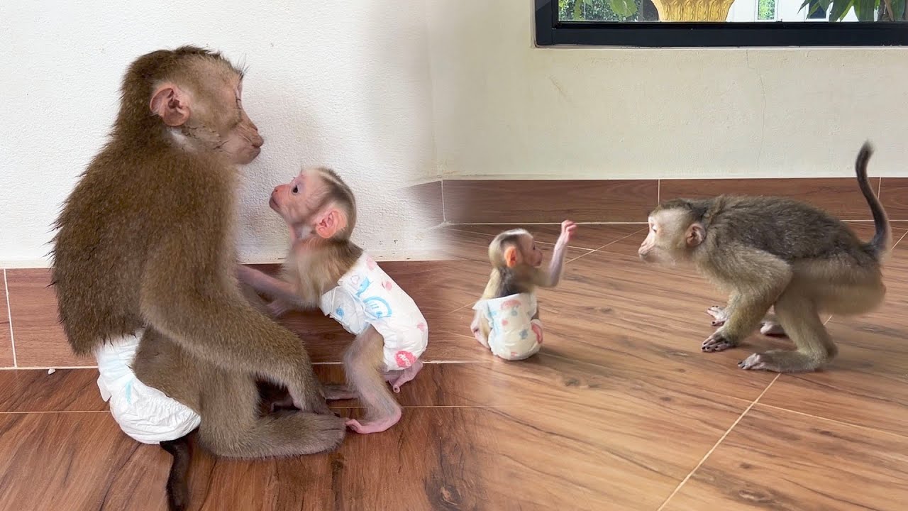 Judee With UncndtionaI LUV, Very Warm & Caring To Tiny JOYEE - YouTube