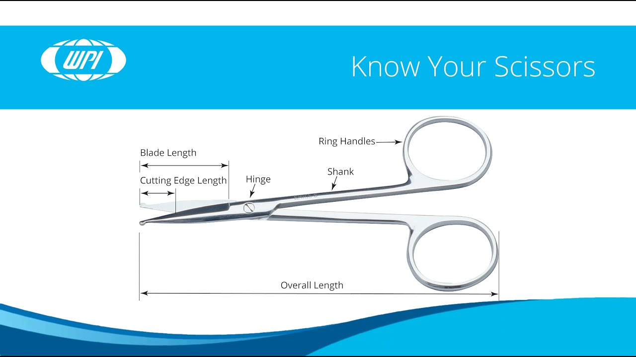 Know Your WPI Scissors - The Anatomy of a Pair of Surgical Scissors ...