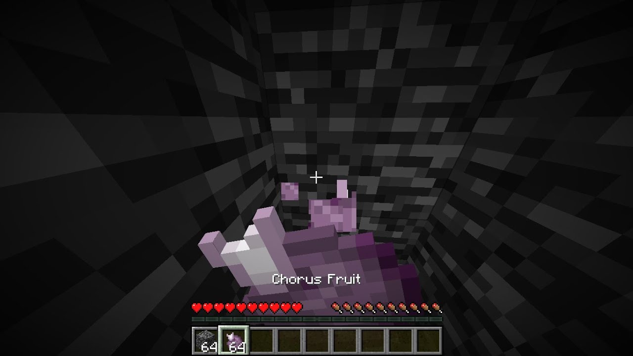 Can I Escape This Place Using Chorus Fruit? - YouTube
