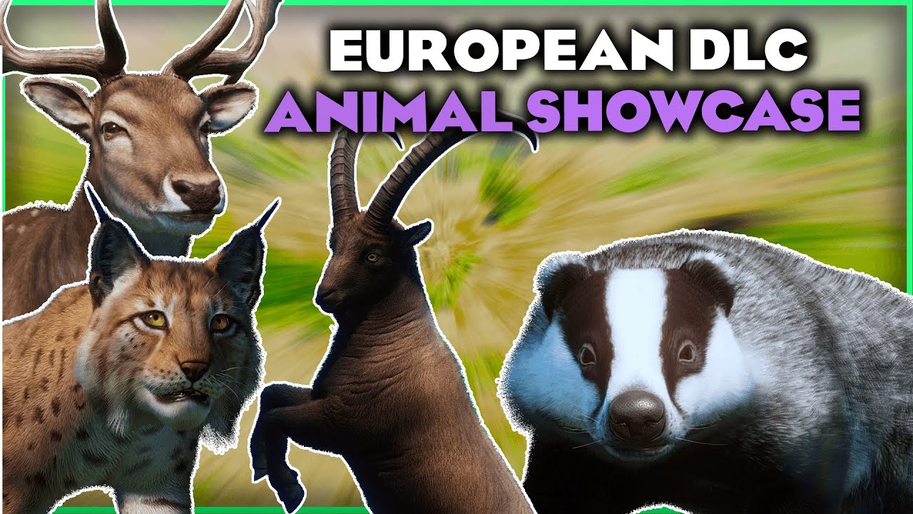 EUROPEAN ANIMAL SHOWCASE! | Ibex, Lynx, Badger and More! - YouTube