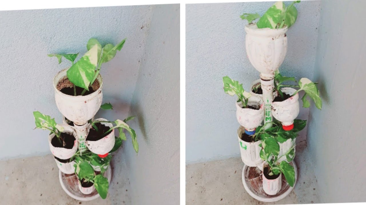 Amazing way to Reuse plastic bottles | Recycle bottles| Organic garden ...