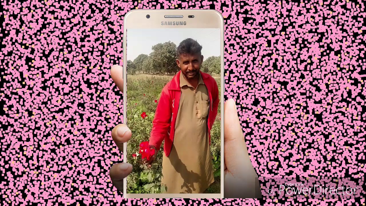 Raja Gul - YouTube