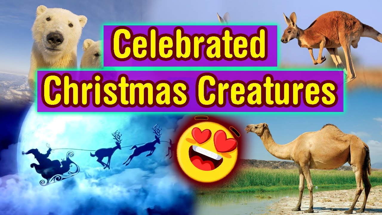 Celebrated Christmas Creatures! - YouTube