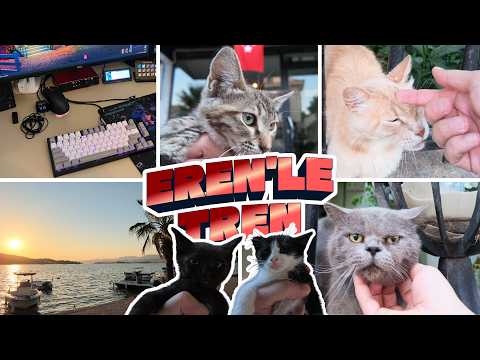 EREN'LE TREN - FETHİYE TURU, YENİ OYUNCAKLAR, KEDİSİZ OLMAZ