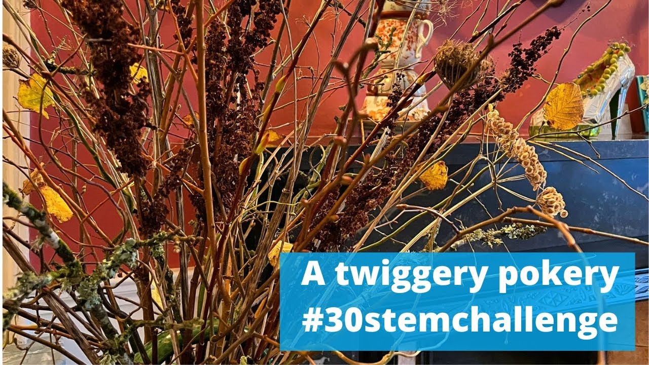 I challenge you to make a purely twig #30stemchallenge today. Get ...