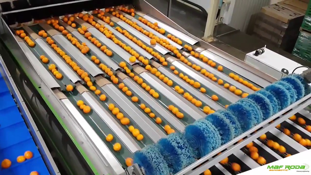 SORTERS-MAF RODA AGROBOTIC - YouTube