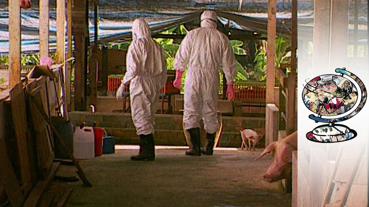 The New Virus Plaguing Malaysia (1999) - YouTube